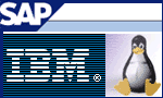 IBM y SAP unen sus iniciativas en mainframes Linux | Computing